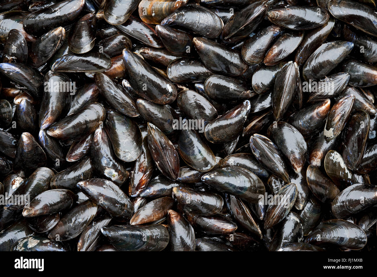 Closed frame hi-res stock photography and images - Alamy