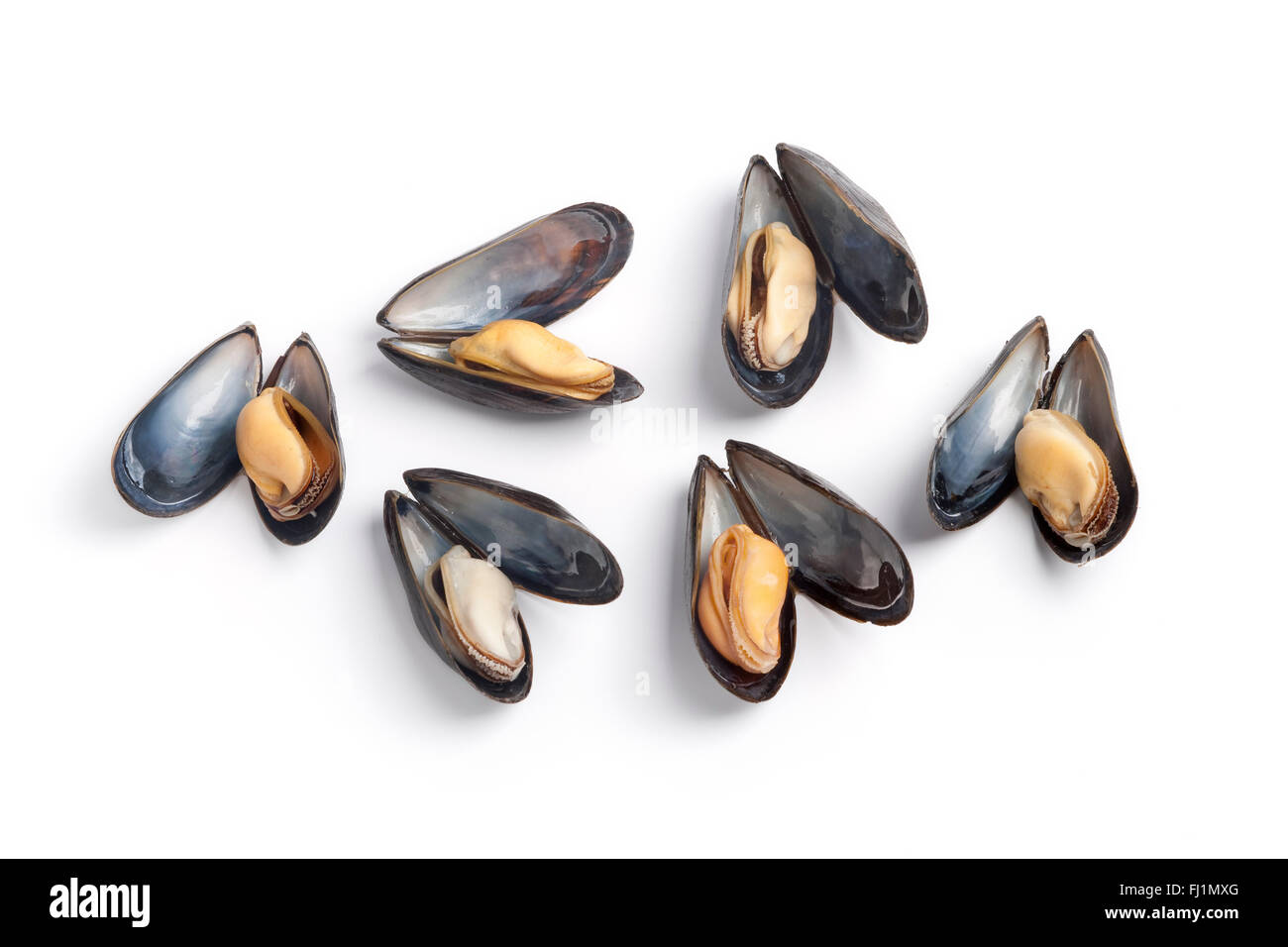 Cooked mussels in the shell on white background Stock Photo - Alamy