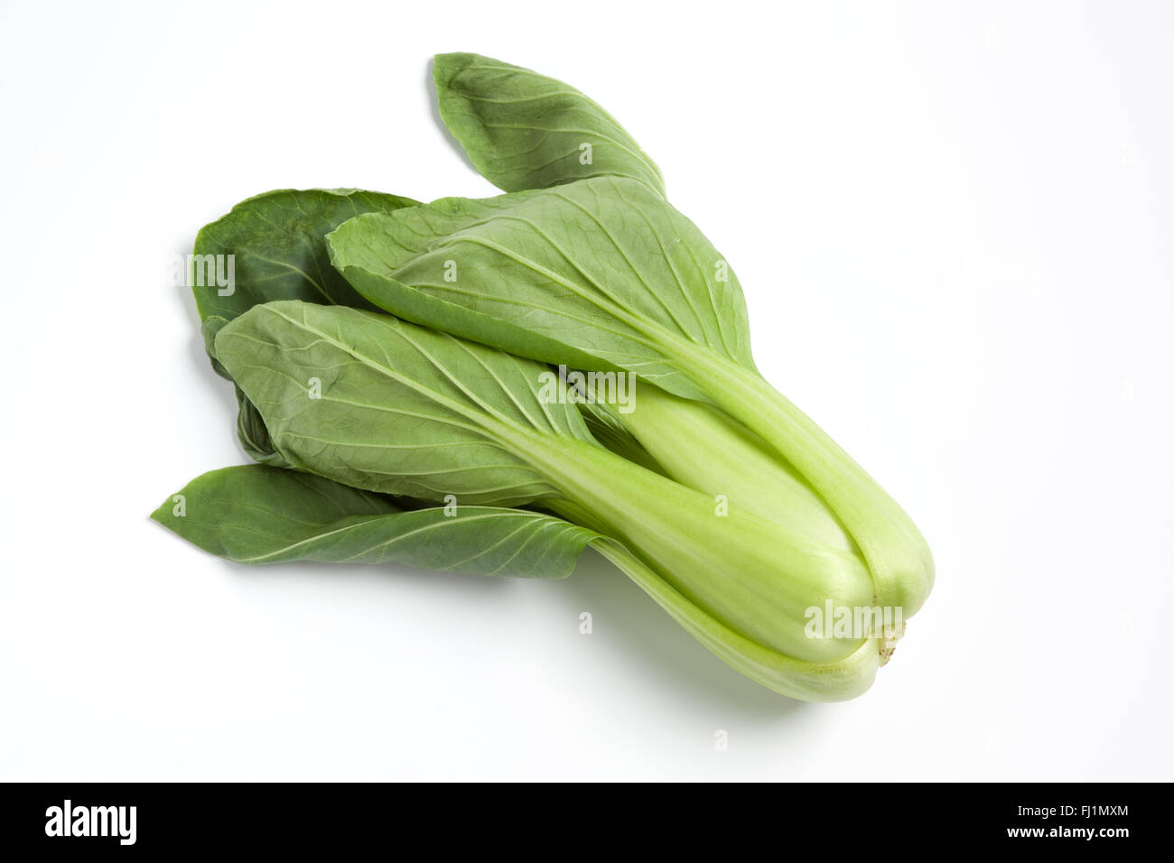 Brassica rapa cut out hi-res stock photography and images - Alamy