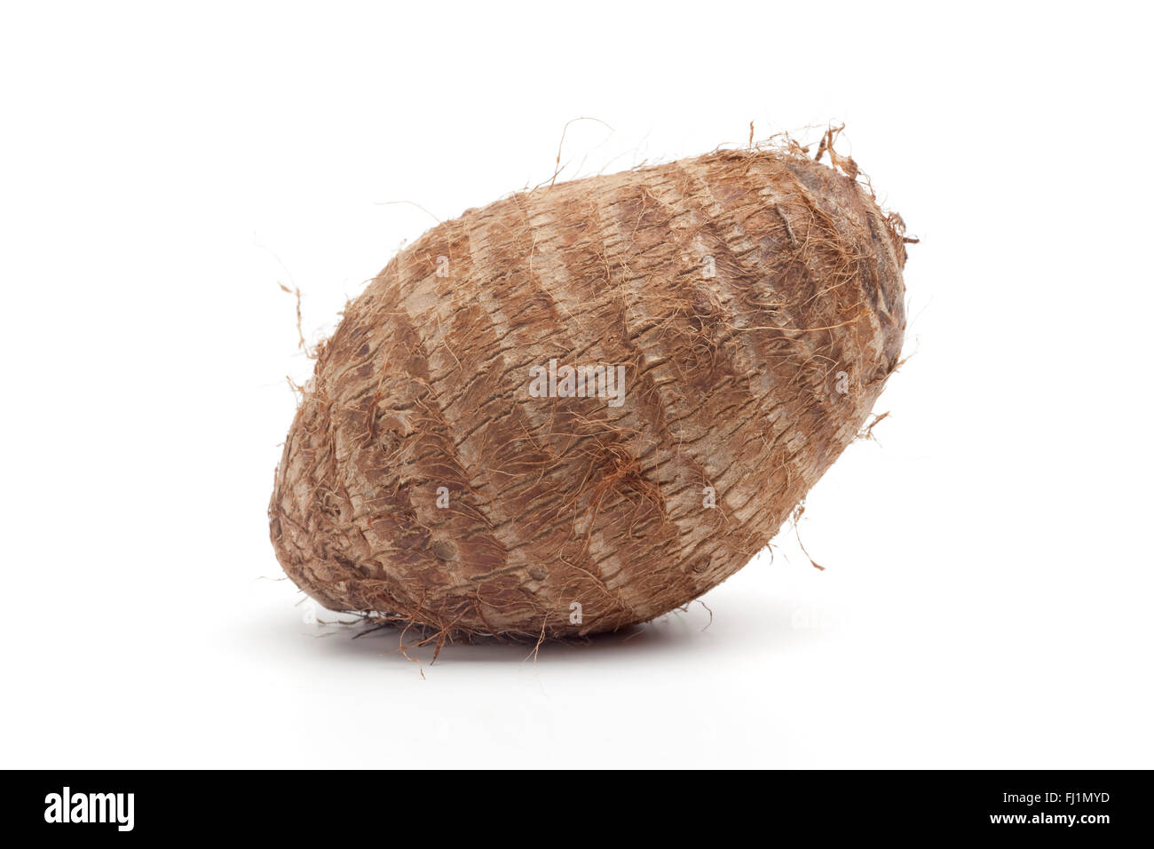 One whole fresh raw Taro on white background Stock Photo - Alamy