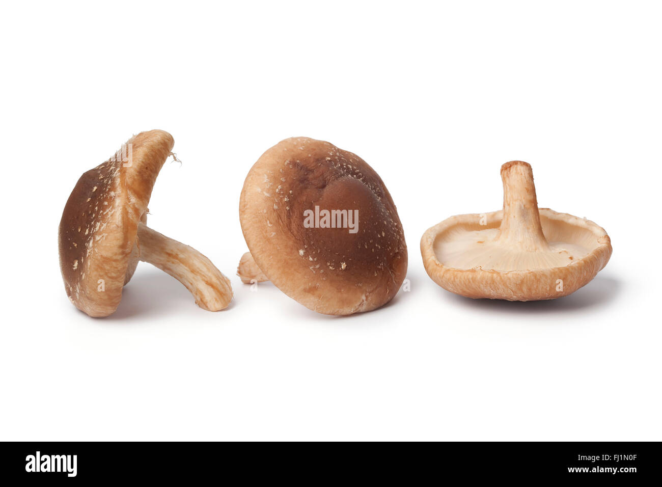 Whole fresh shiitake mushrooms on white background Stock Photo - Alamy