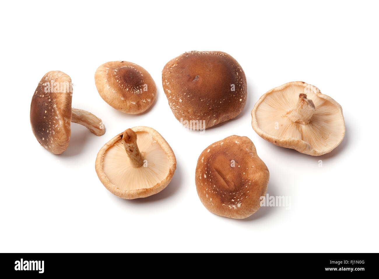 Fresh shiitake mushrooms on white background Stock Photo - Alamy