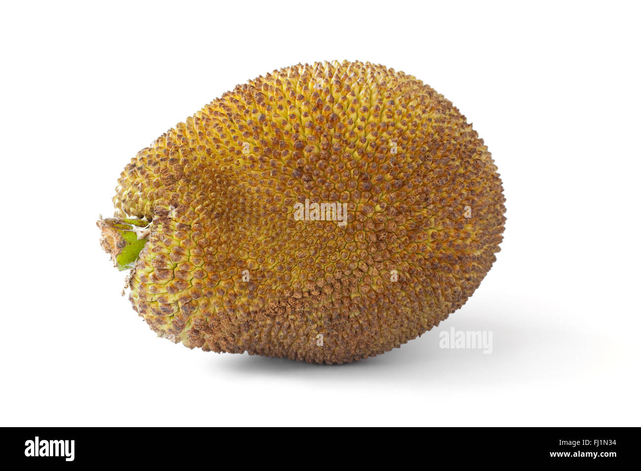 Jackfruit isolated hi-res stock photography and images - Alamy