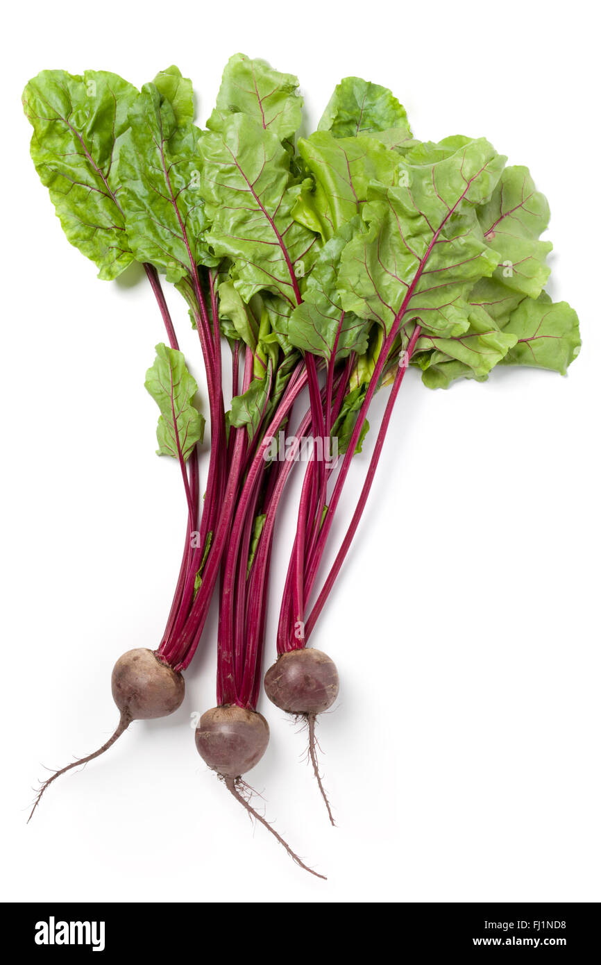 Beetroots isolated hi-res stock photography and images - Alamy