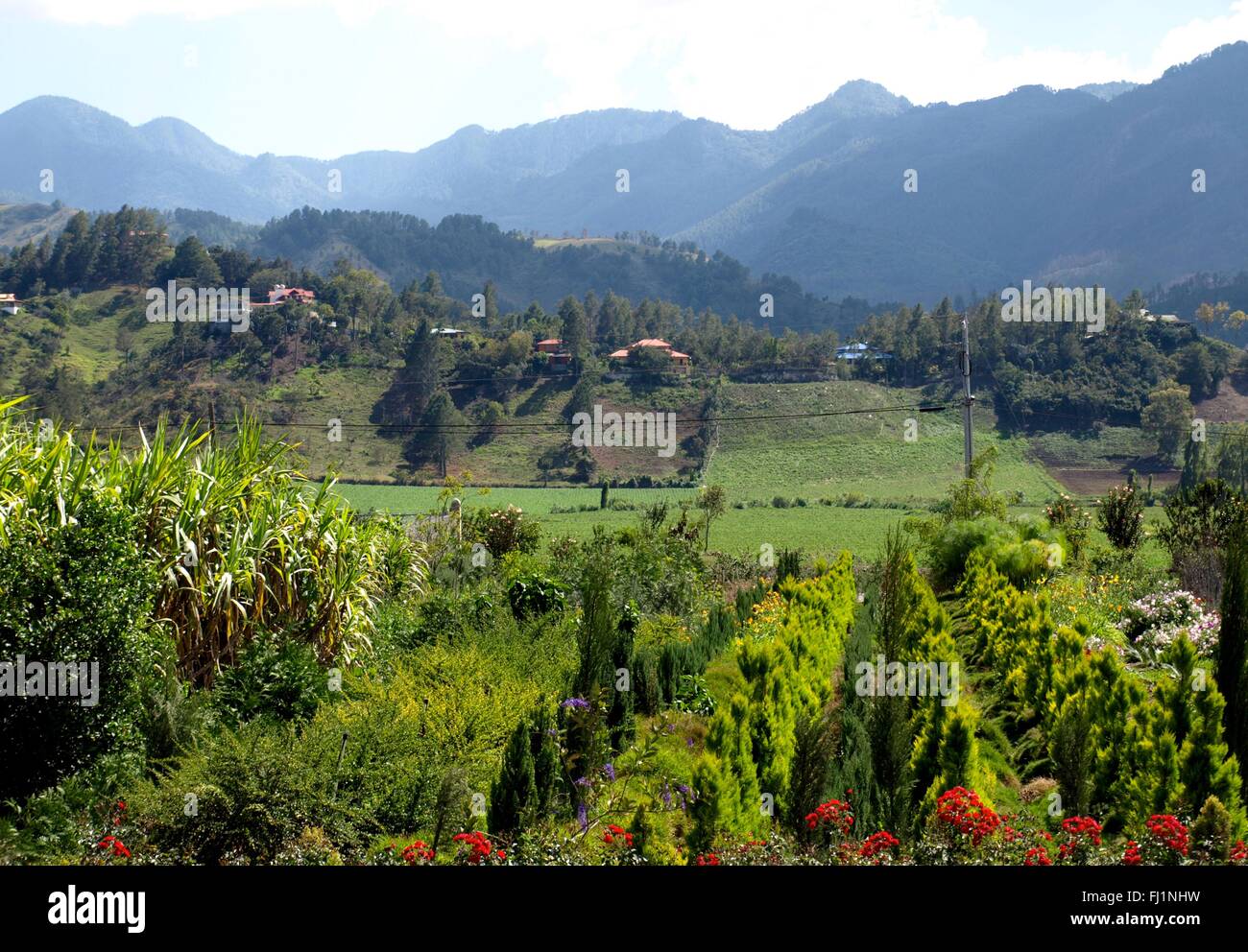 Constanza dominican republic hi-res stock photography and images - Alamy