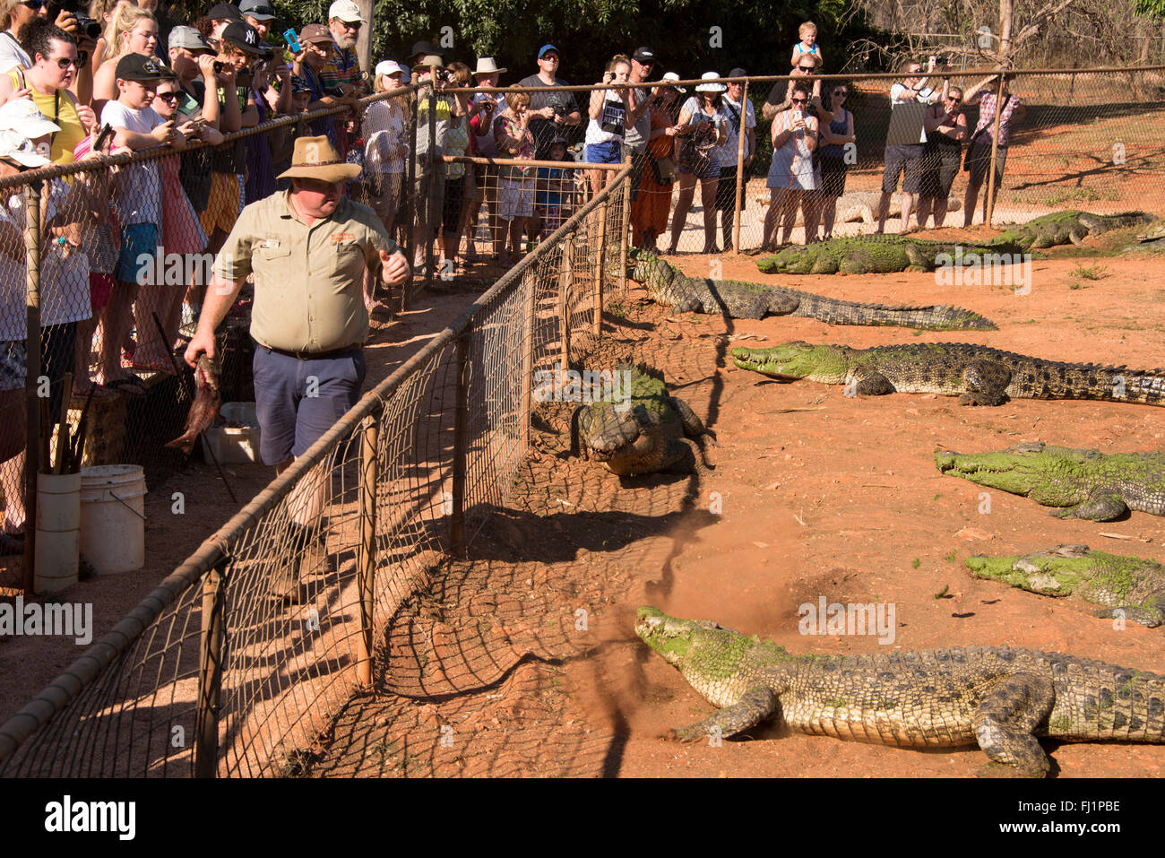 feeding-time-at-3pm-daily-is-a-popular-time-with-visitors-to-watch-in
