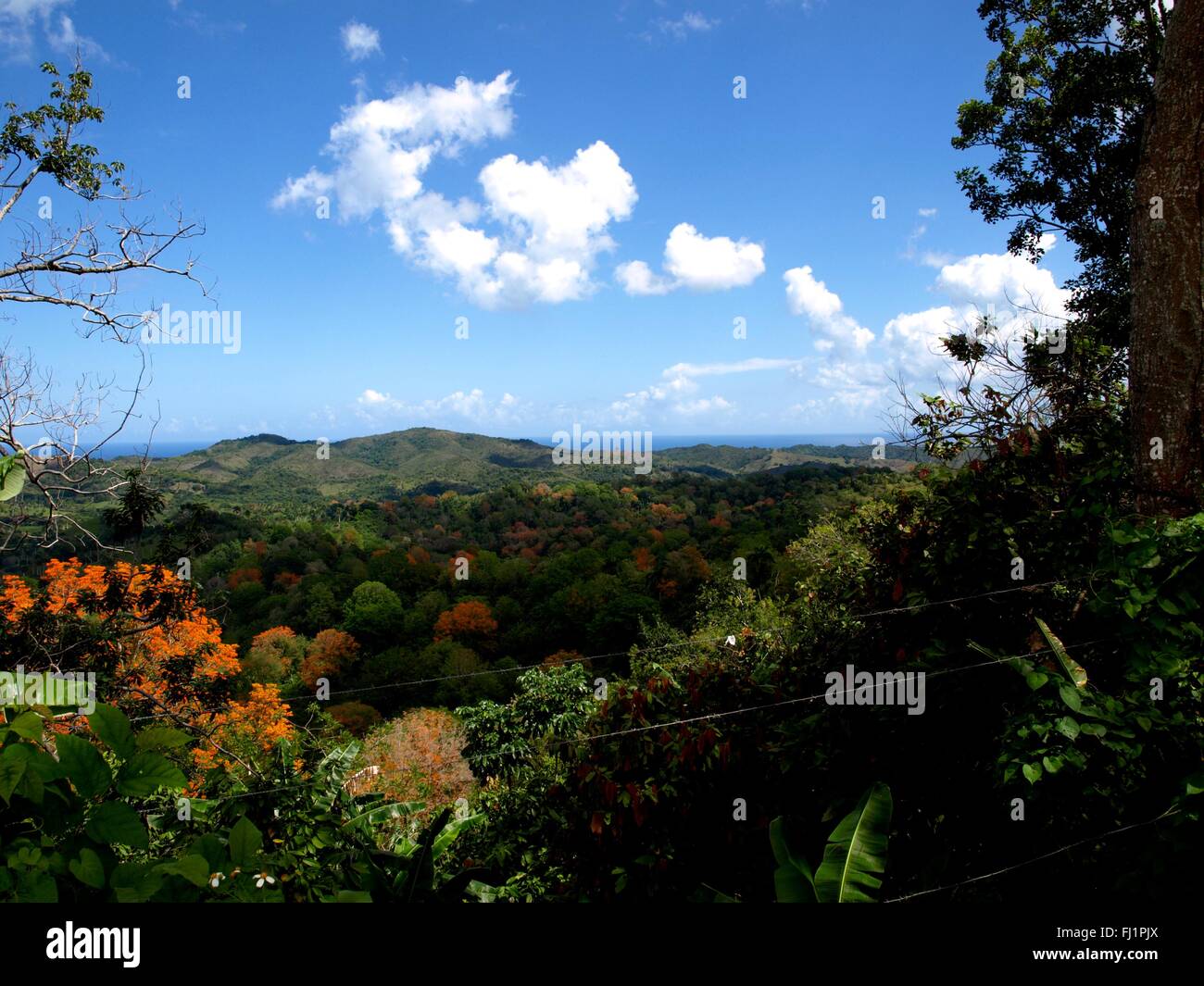 Dominican Republic nature Stock Photo - Alamy