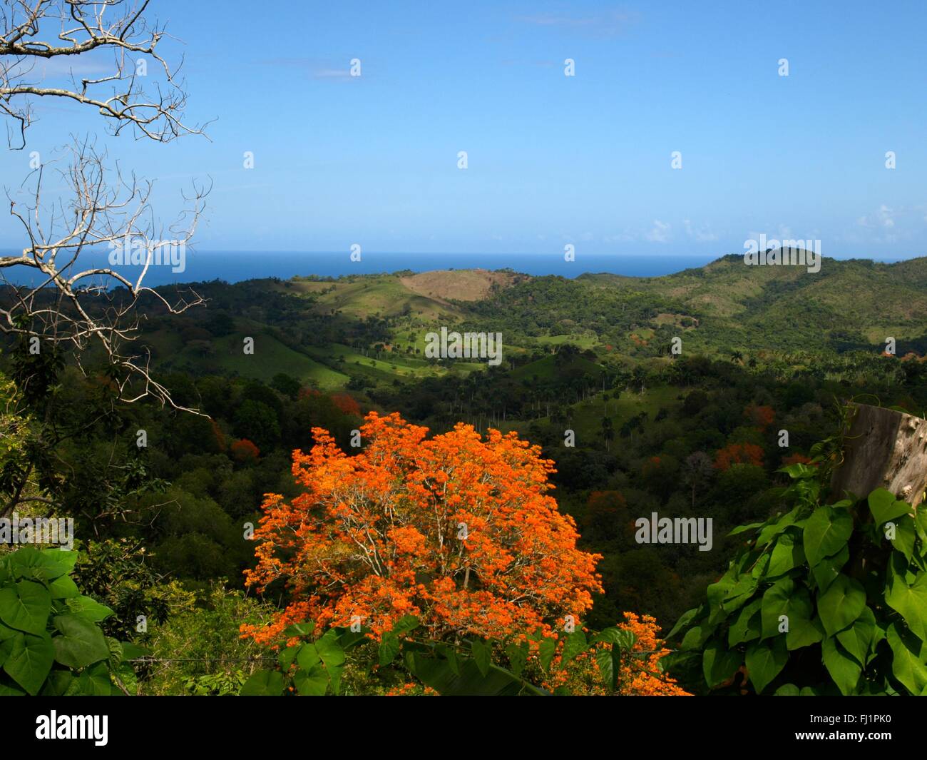 Countryside in dominican republic caribbean hi-res stock photography ...