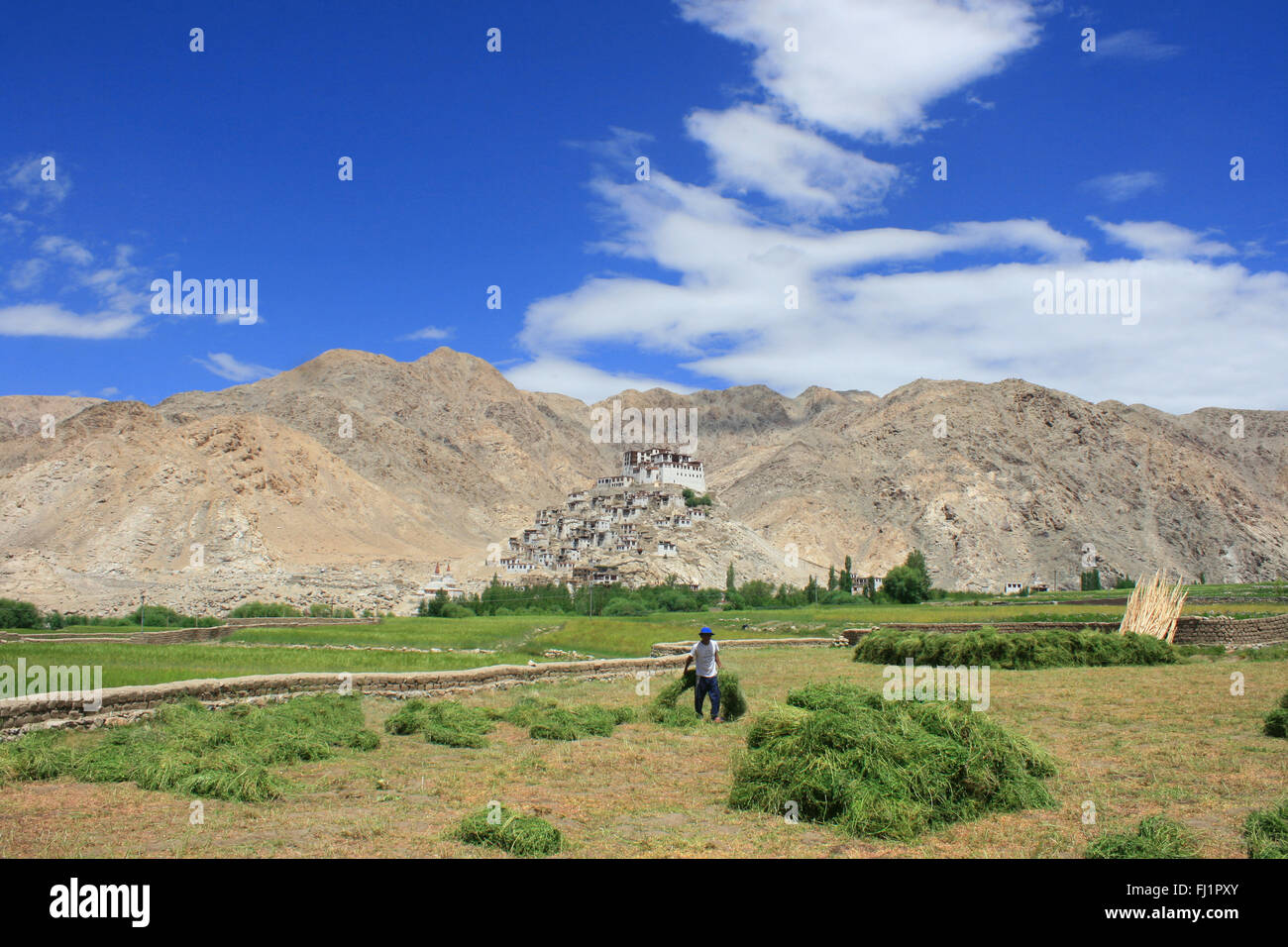Chemrey buddhist monastery / gompa , landscape of Ladakh , India Stock ...