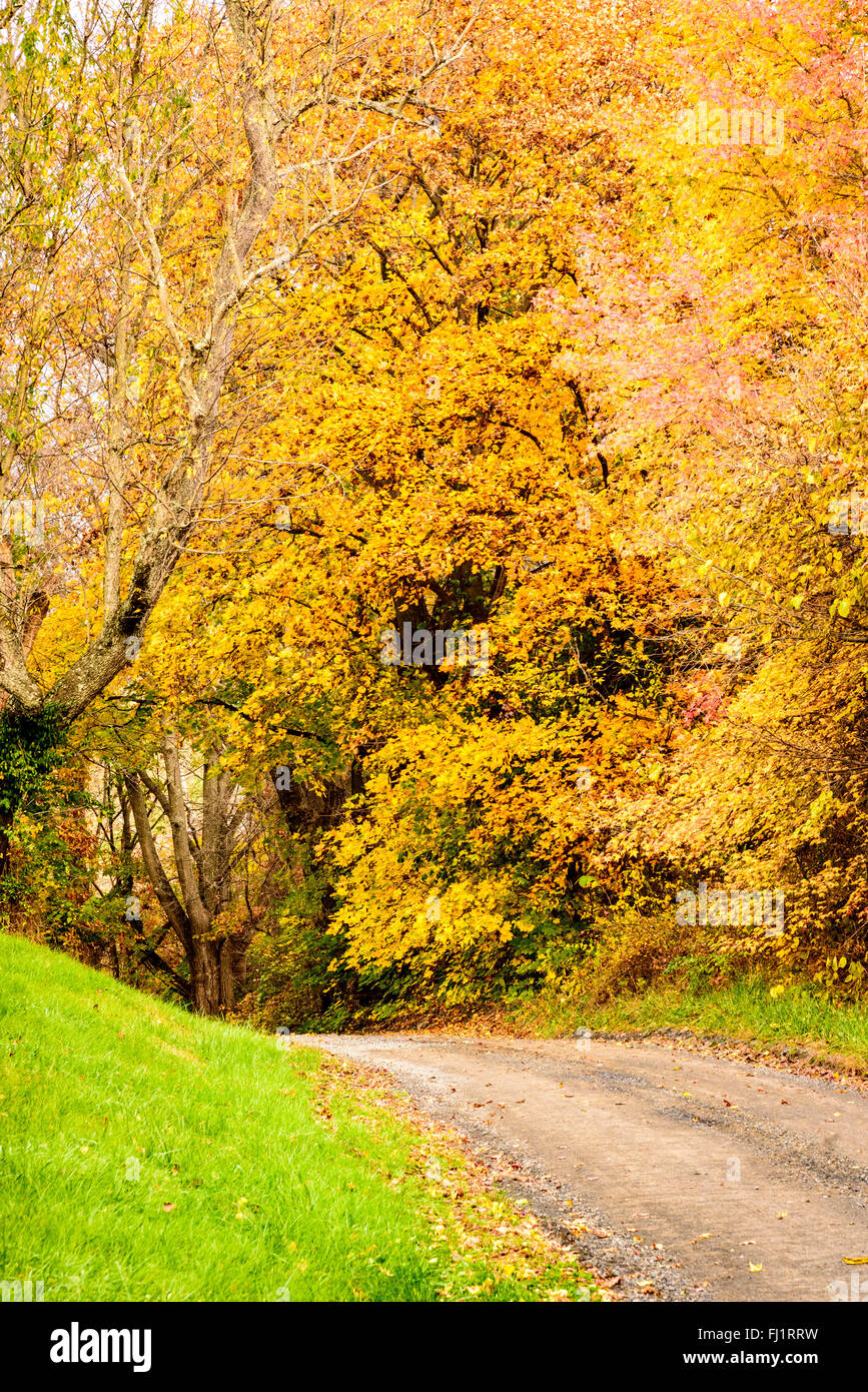 Fall Colors, Green Garden Road, Upperville, Virginia Stock Photo - Alamy