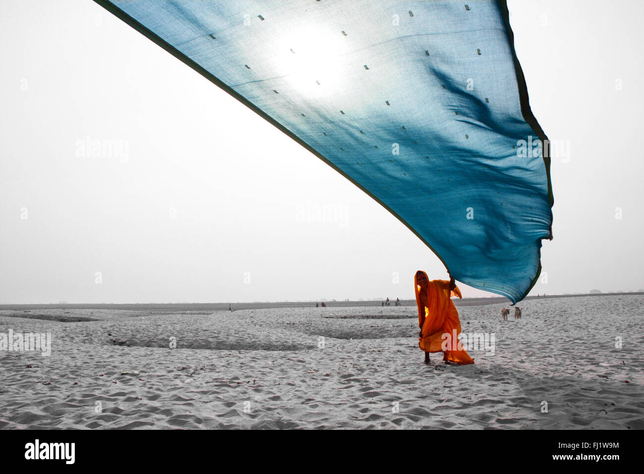 Saree hi-res stock photography and images - Alamy