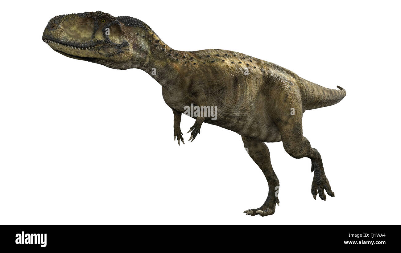 Abelisaurus is a genus of predatory abelisaurid theropod dinosaur alive ...