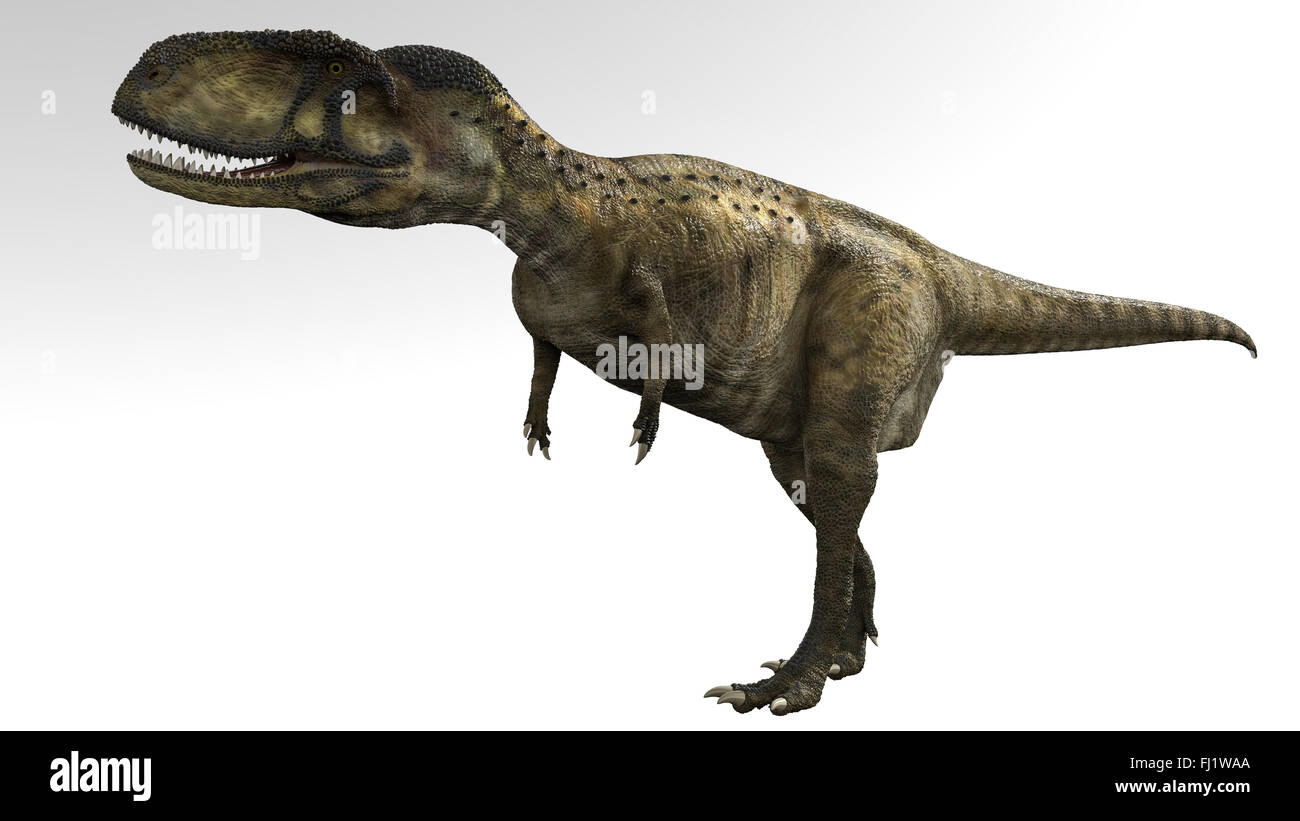 Abelisaurus is a genus of predatory abelisaurid theropod dinosaur alive ...