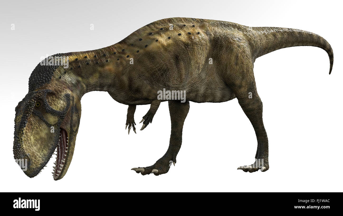 Abelisaurus is a genus of predatory abelisaurid theropod dinosaur alive ...