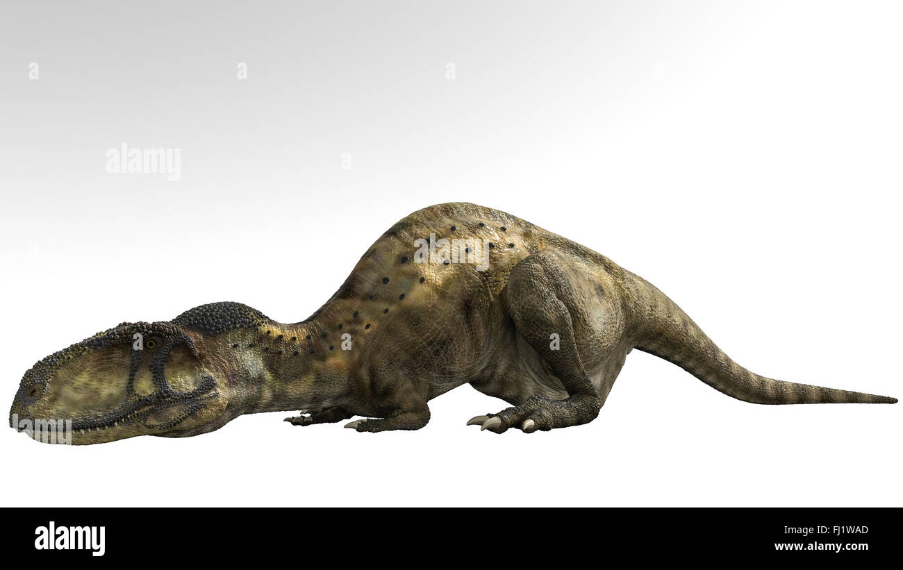 Abelisaurus hi-res stock photography and images - Alamy
