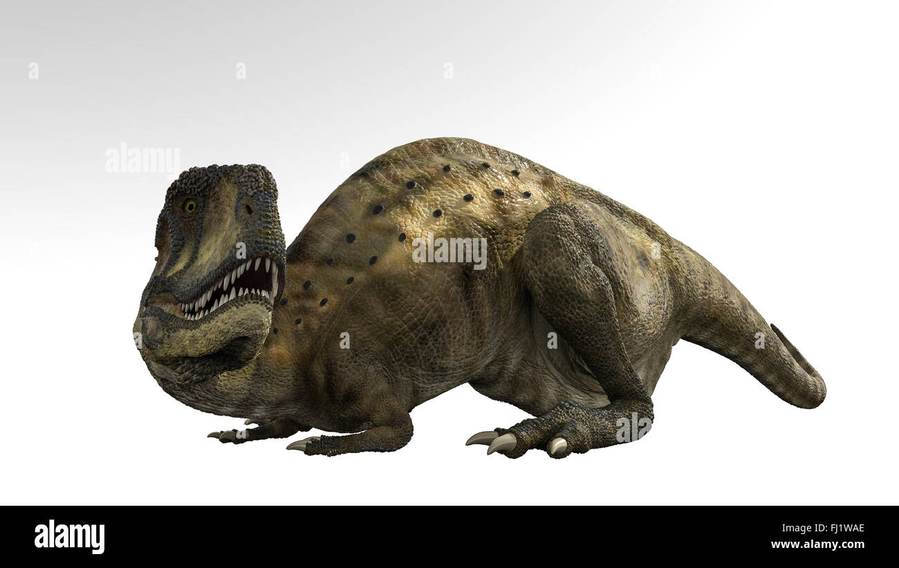 Abelisaurus is a genus of predatory abelisaurid theropod dinosaur alive ...