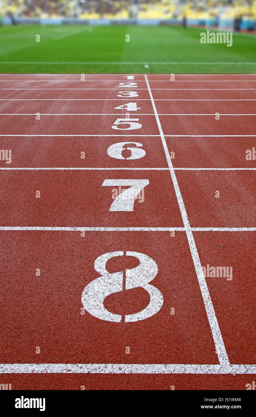Starting grid of race track at a stadium Stock Photo - Alamy