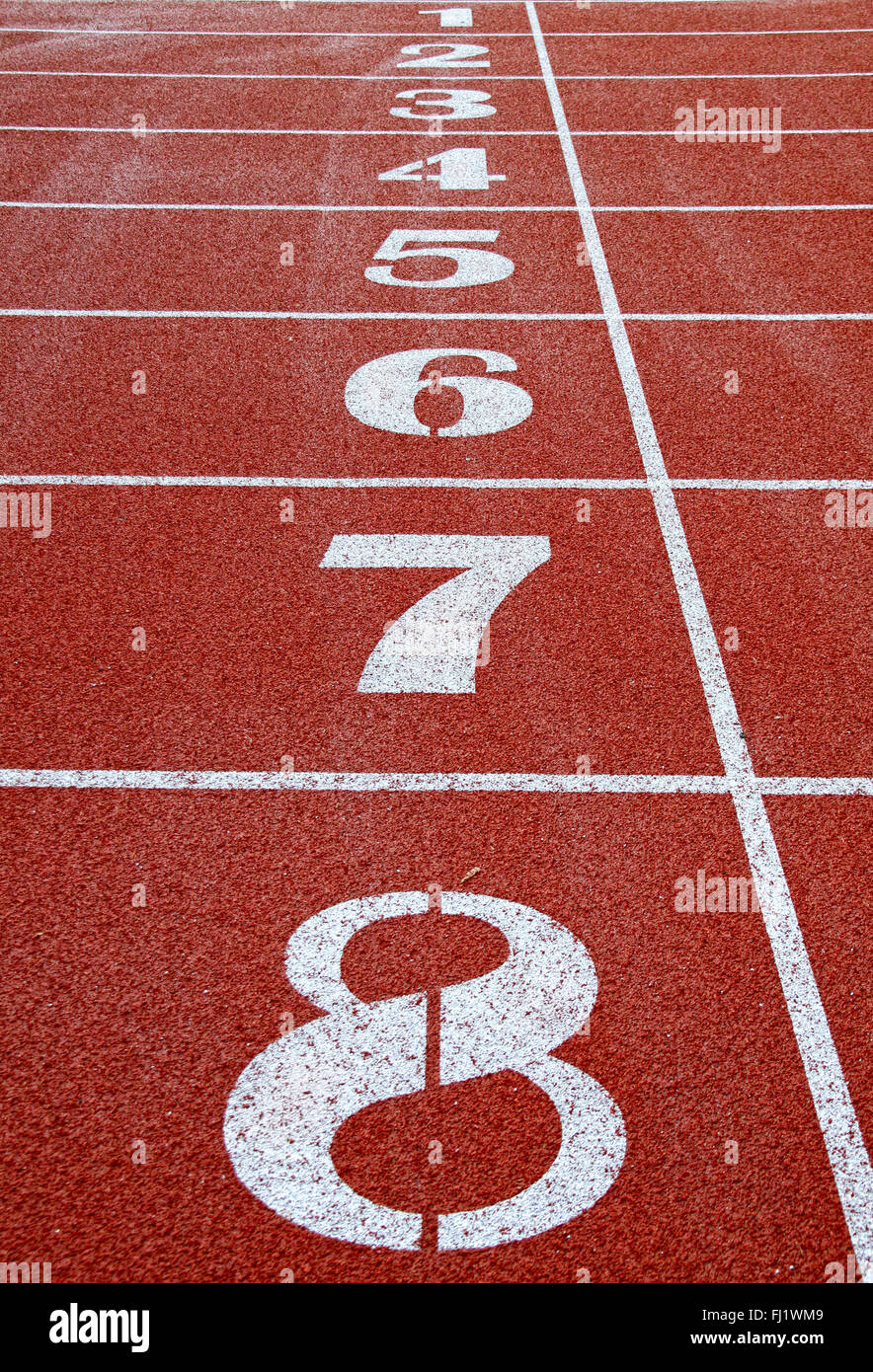 Starting grid of race track at a stadium Stock Photo - Alamy