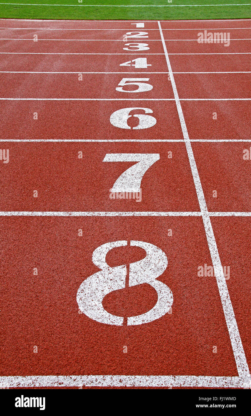 Starting grid of race track at a stadium Stock Photo - Alamy