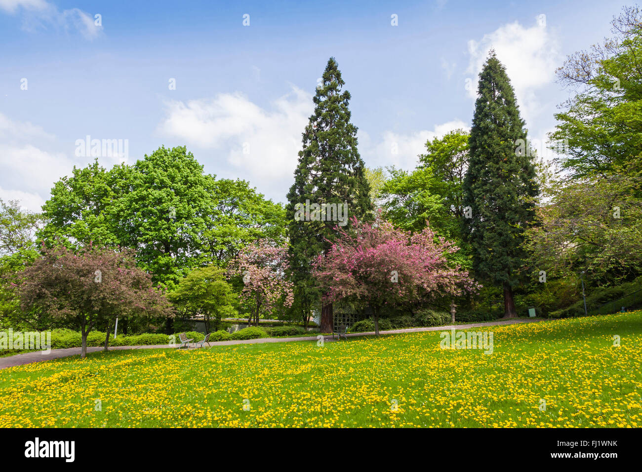 Stadtgarten freiburg hi-res stock photography and images - Alamy