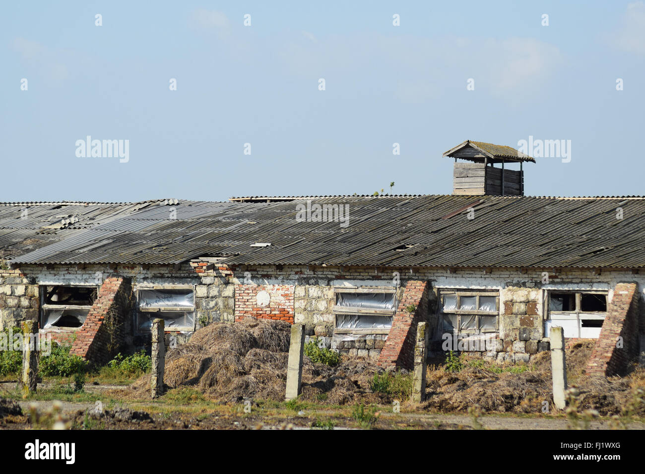 Abandoned cow farm. The ruins of the Soviet collective farms Stock ...
