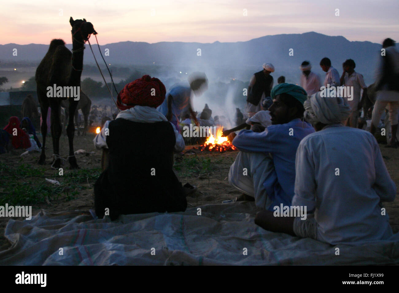 Camel drivers by sunset art the Pushkar mela, Pushkar Camel fair ...