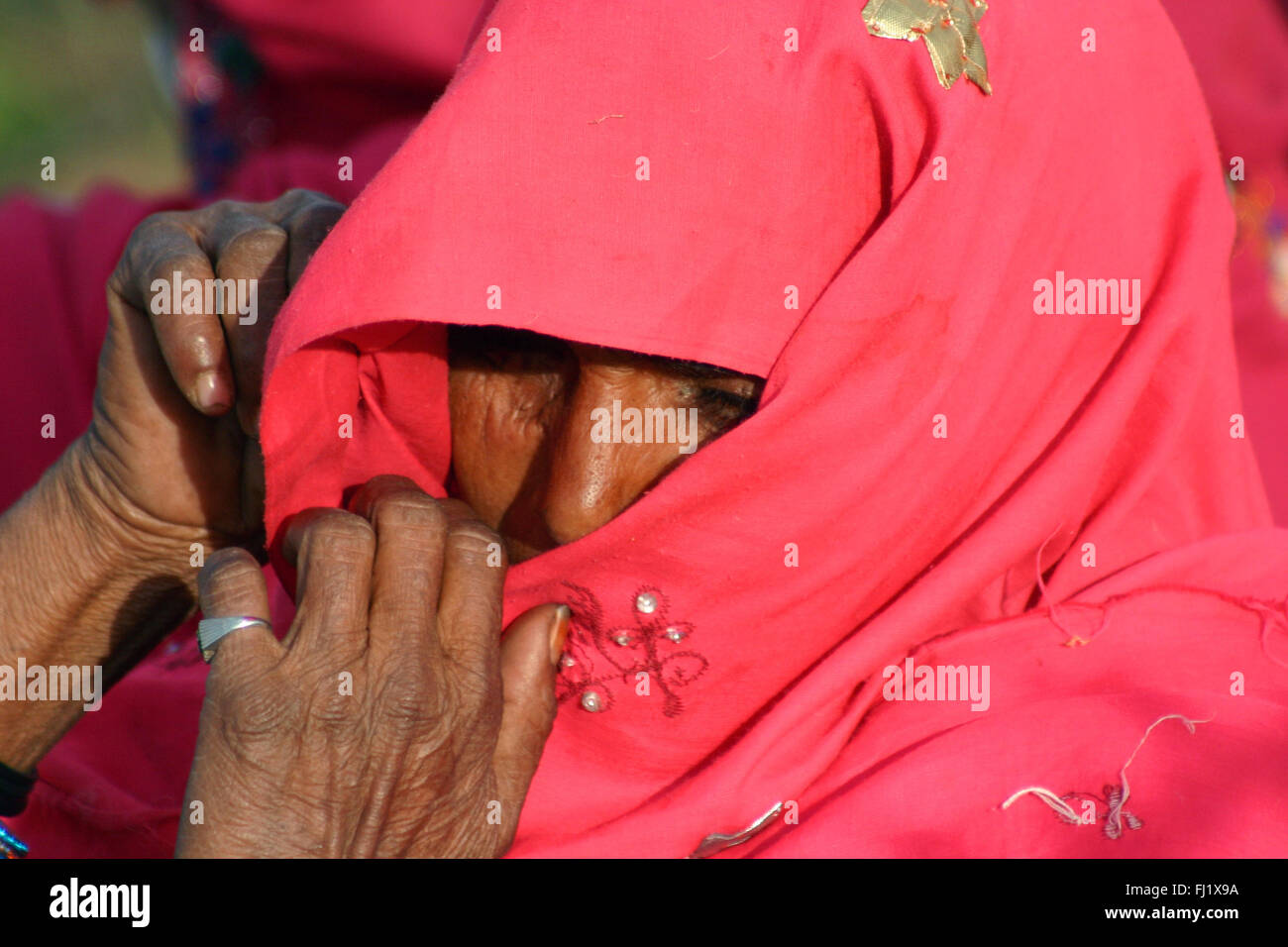 Portrait of Indian hindu woman during Pushkar mela- Pushkar camel fair ...