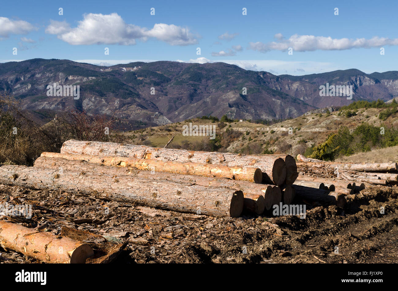 Stack of timber in a mud on a hill Stock Photo - Alamy