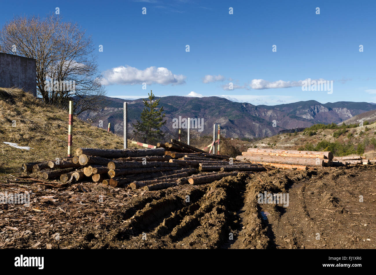 Timber on a hill in a Rhodope Mountain Stock Photo - Alamy