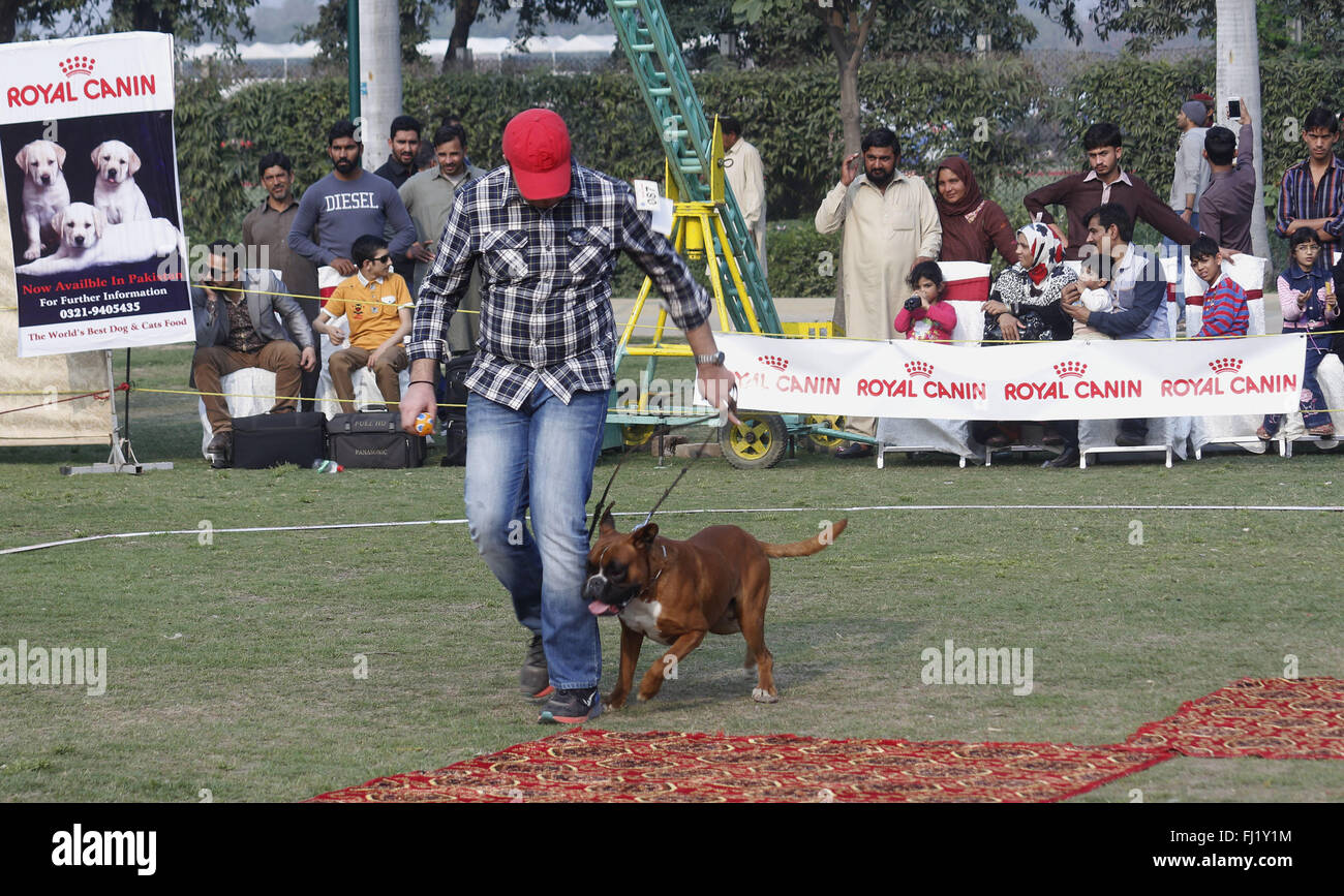 Pakistani People with their pets participating in Dog Show "Royal ...