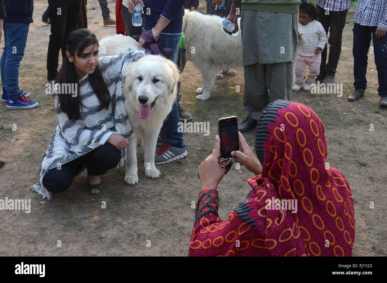 Pakistani People with their pets participating in Dog Show "Royal ...