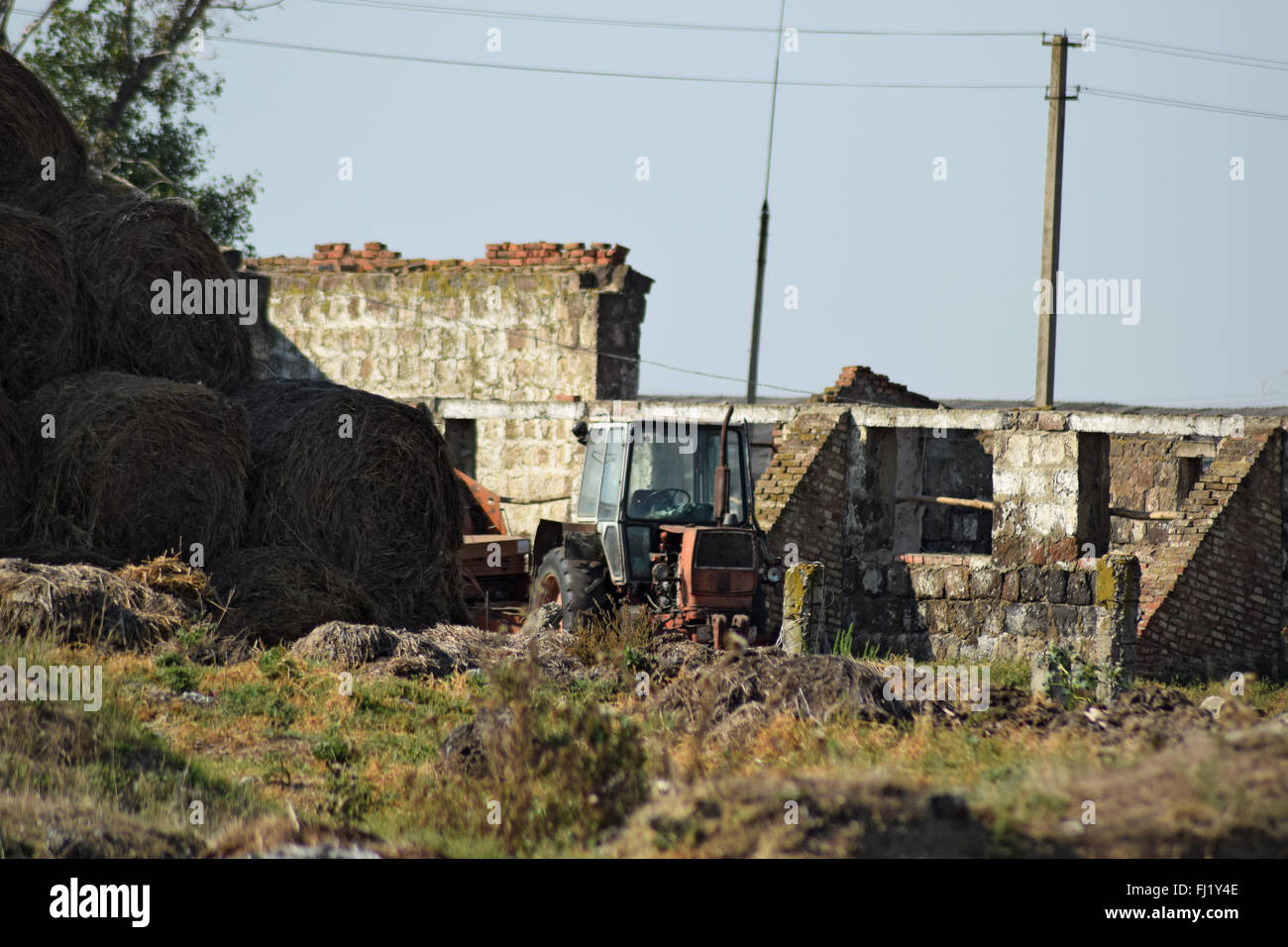 Old tractor in ruins cow farm. Abandoned cow farm Stock Photo - Alamy