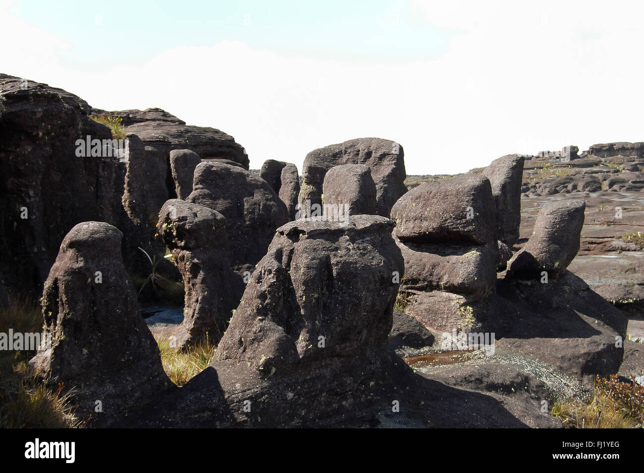 Mount Roraima Summit - Venezuela Stock Photo - Alamy