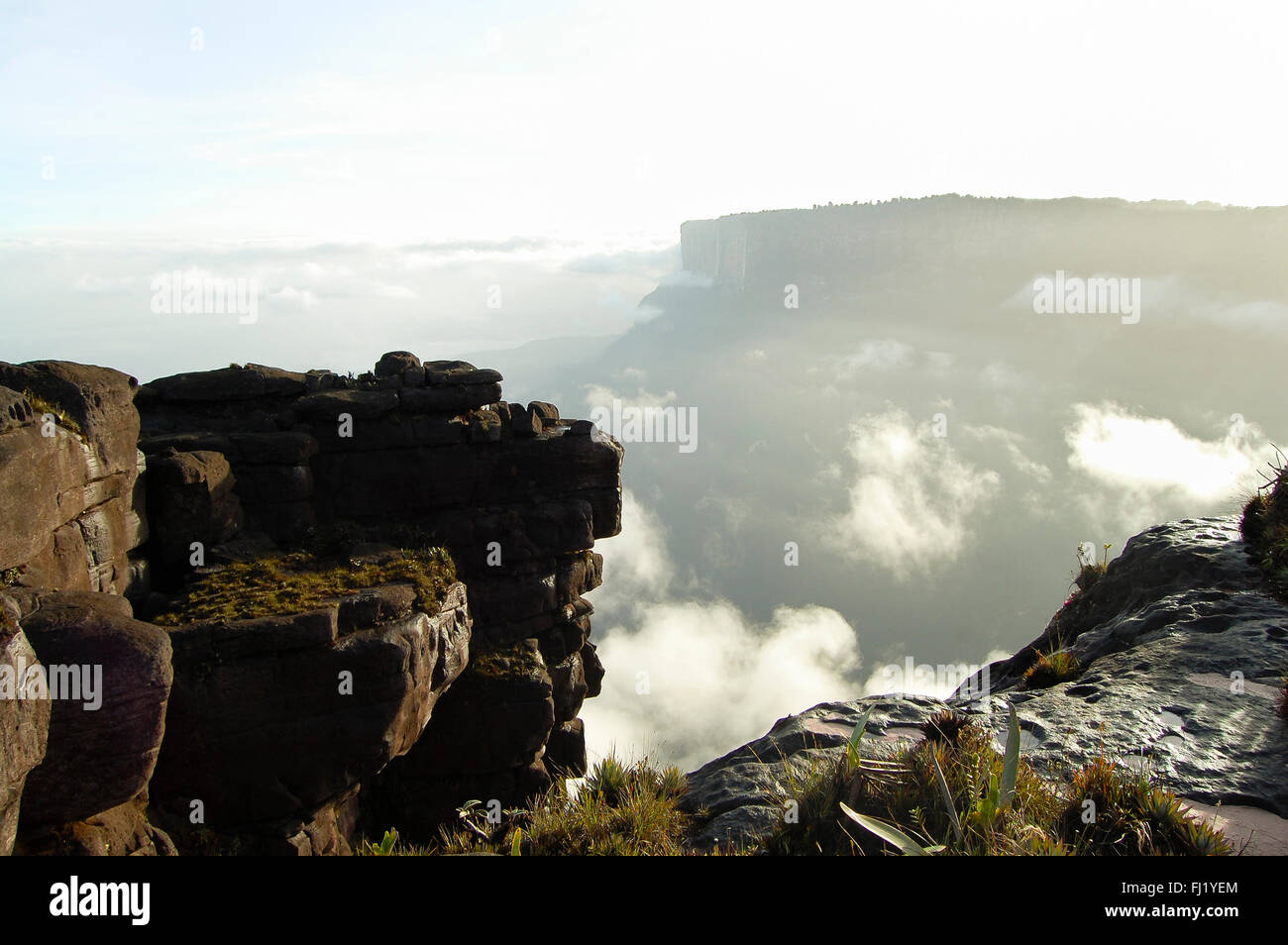 Mount Roraima - Venezuela Stock Photo - Alamy