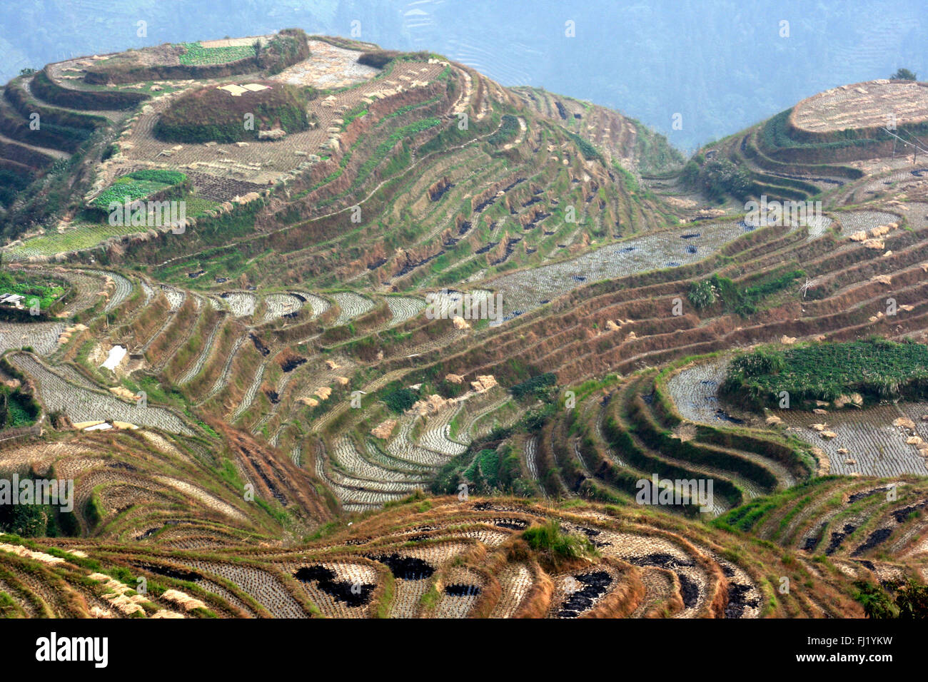 Rice terraces in Longsheng, Guangxi , China Stock Photo - Alamy