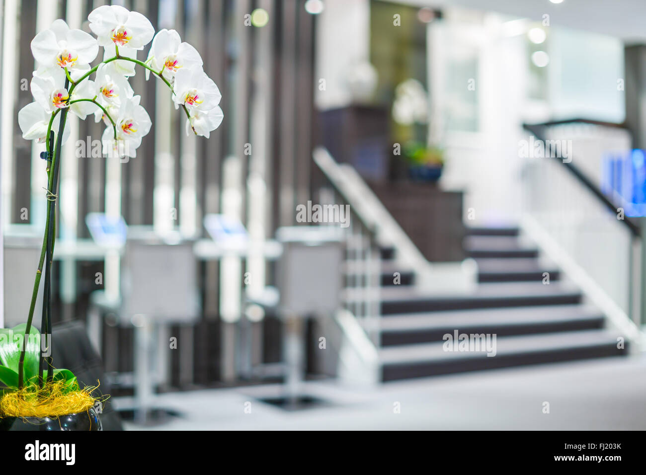 Office interior design Stock Photo - Alamy