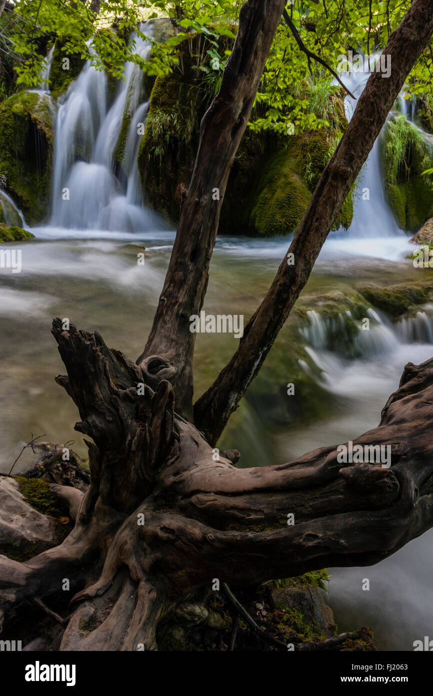 Tree stump and waterfall Stock Photo - Alamy
