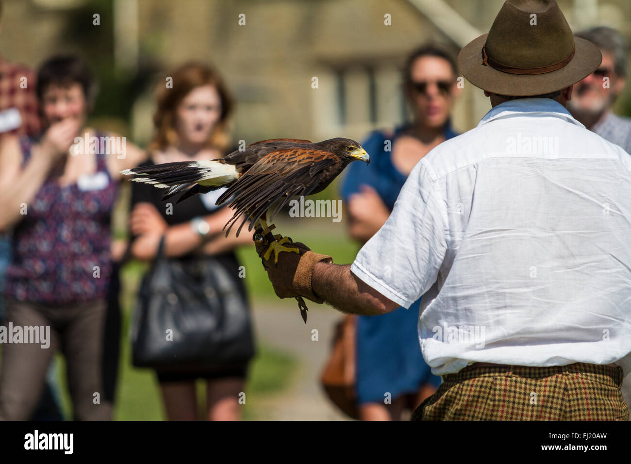 Lady with the hawk hi-res stock photography and images - Alamy