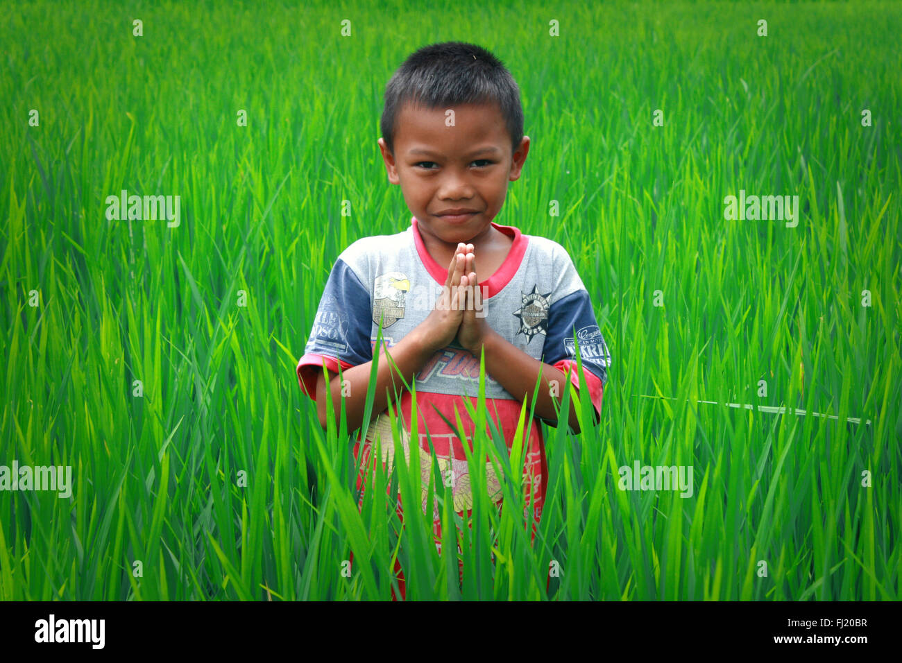 indonesia portrait people face Stock Photo - Alamy
