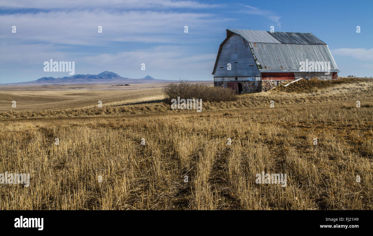 An abandoned barn on the prairies Stock Photo - Alamy