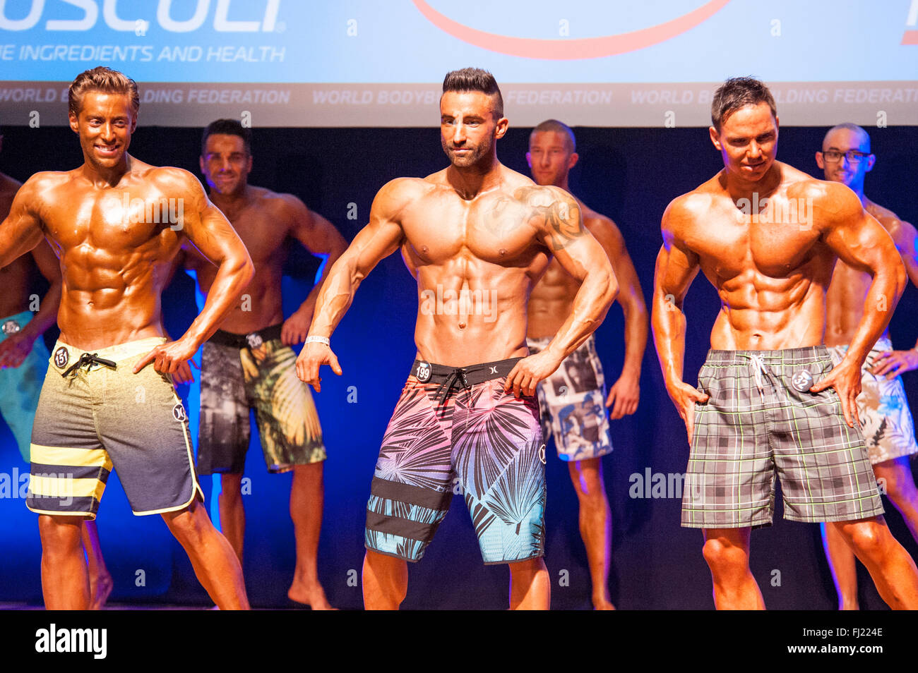 MAASTRICHT, THE NETHERLANDS - OCTOBER 25, 2015: Male physique models ...