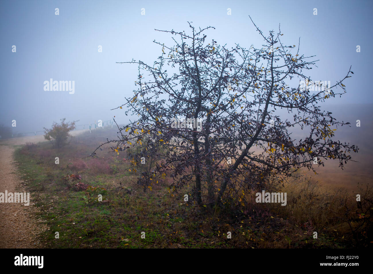 Crimea - Landscape Karadag National park Stock Photo - Alamy