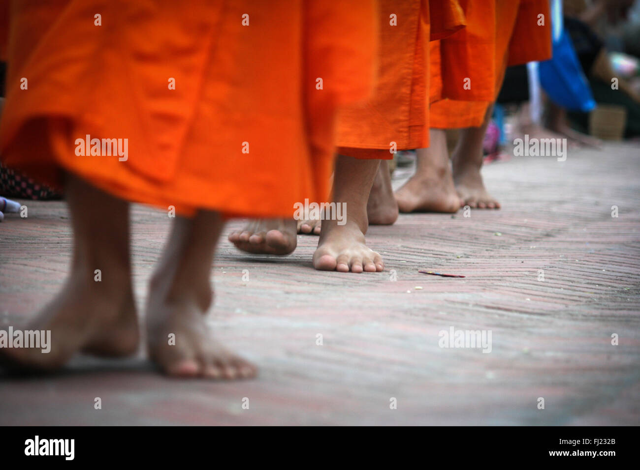 Tak bat ritual - Buddhist monks receive rice and food from pupulation ...