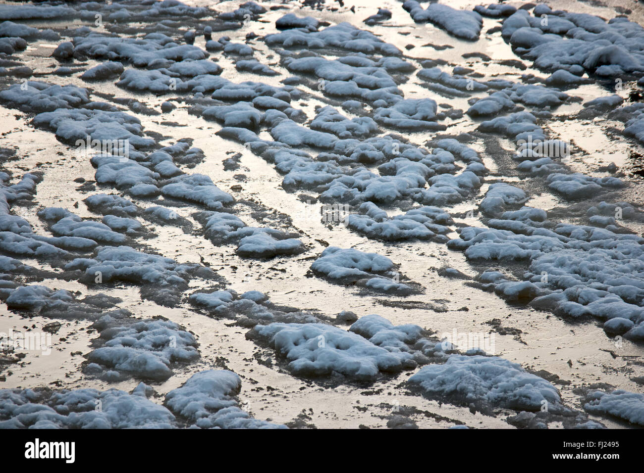 Ice floating on sea water at sunset Stock Photo - Alamy