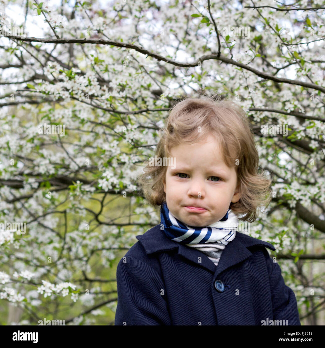 3 spring flowering trees High Resolution Stock Photography and Images ...