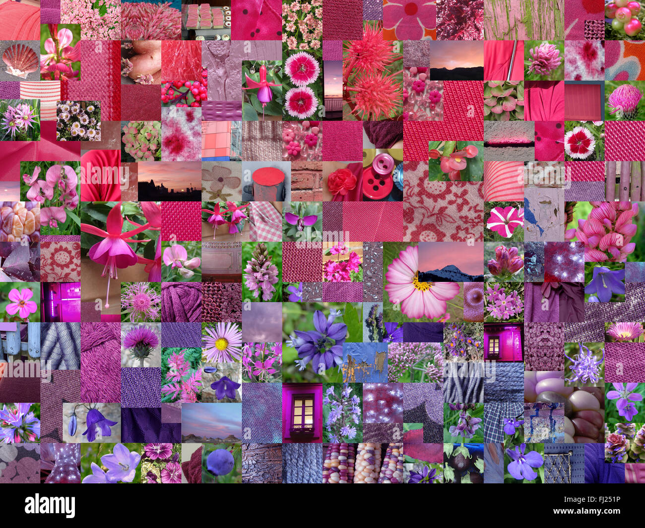 Purple collage hi-res stock photography and images - Alamy