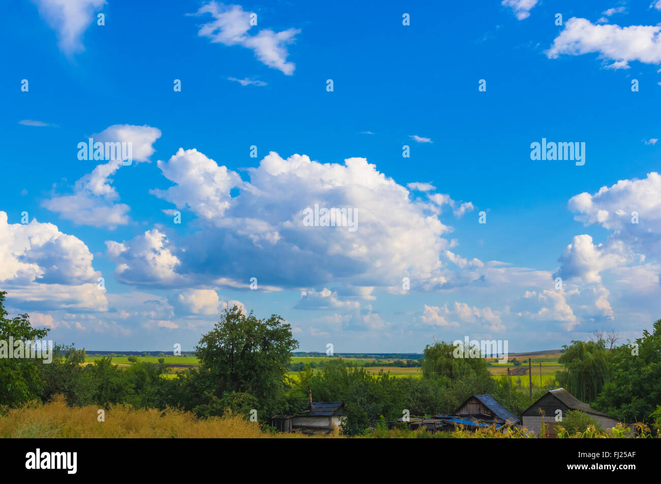 Summer landscape with green grass, village, fields and beautiful clouds ...