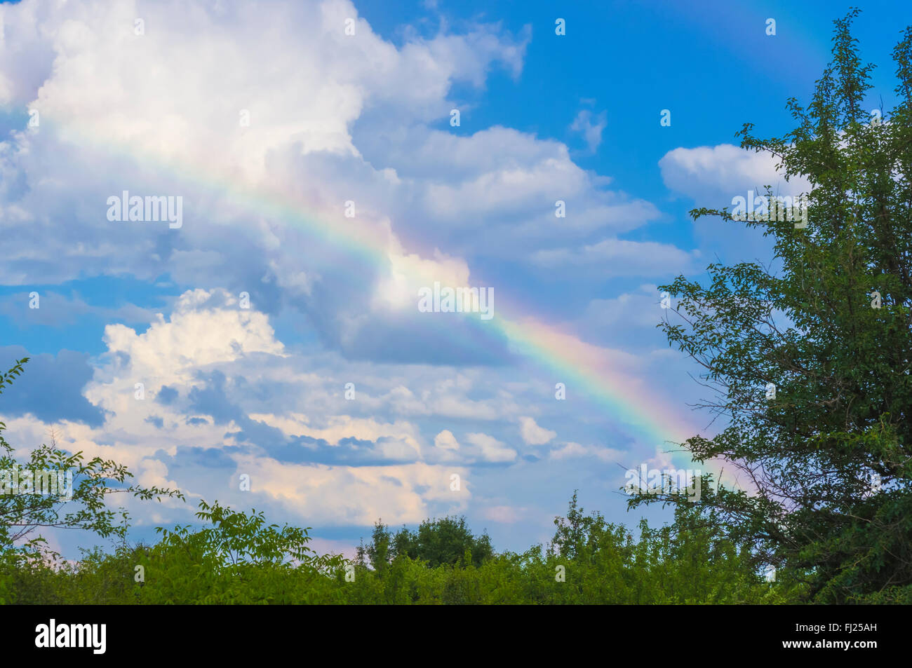 Summer landscape with green grass, village, fields and beautiful clouds ...