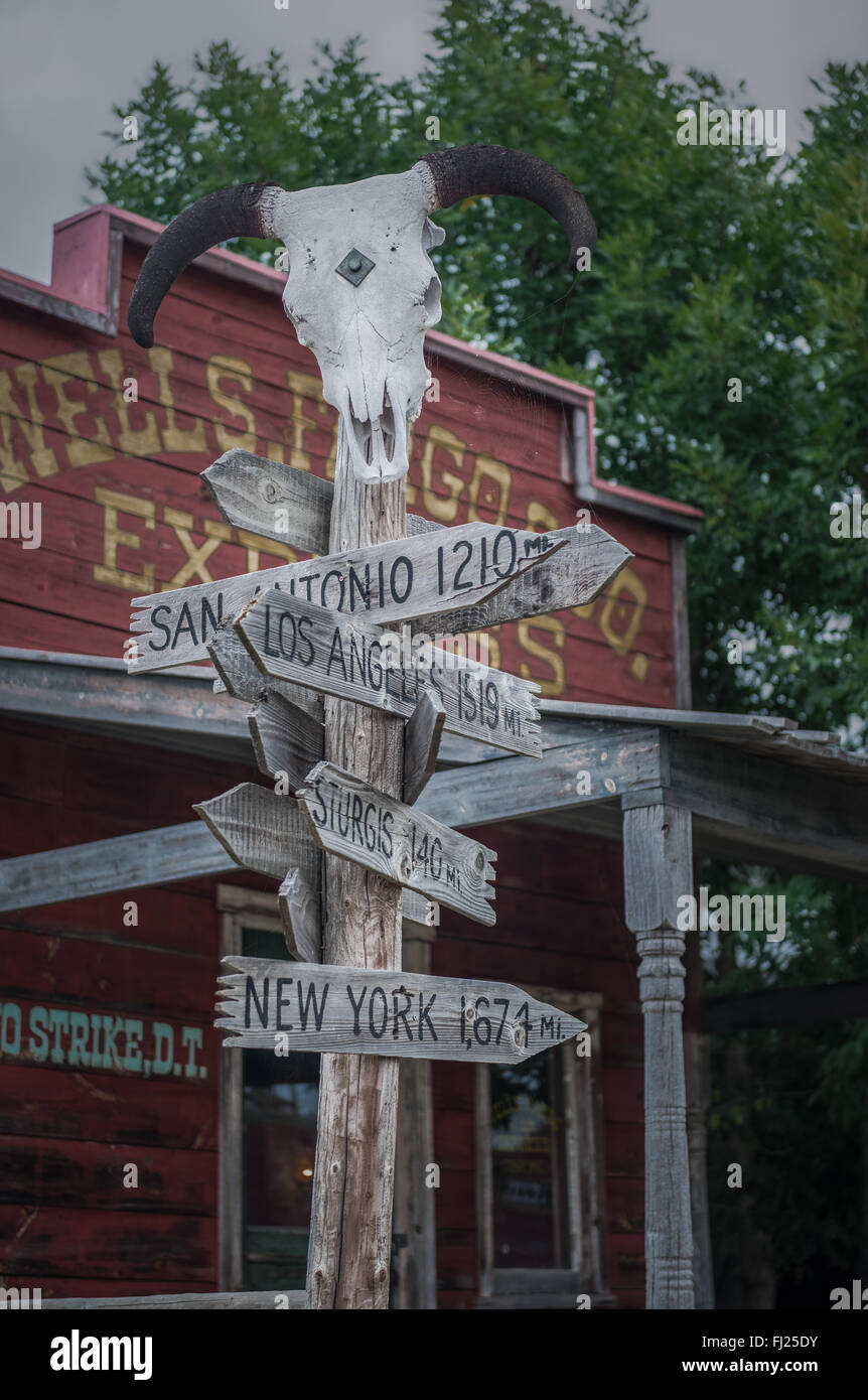 Antiquecowskull hi-res stock photography and images - Alamy