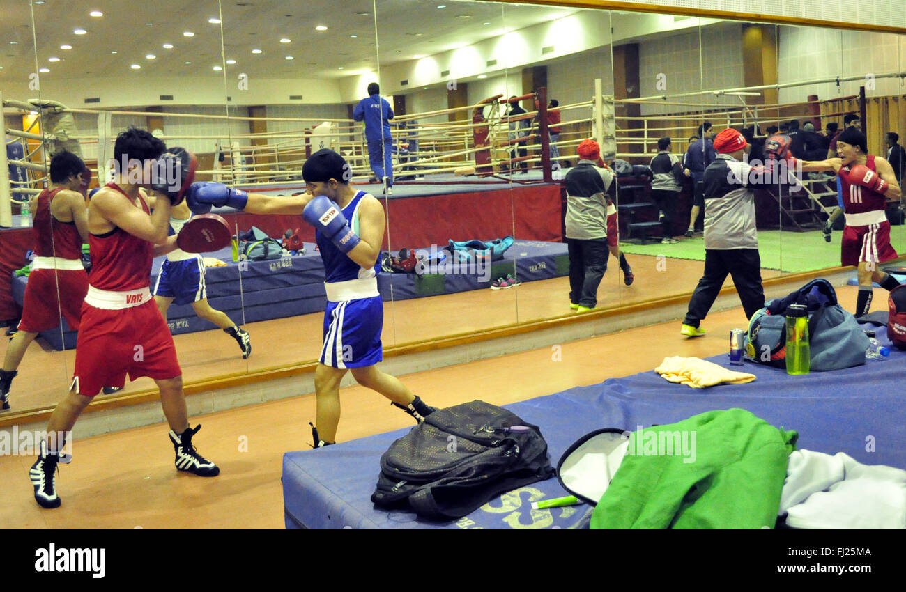 Patiala, India. 19th Feb, 2016. Indian Women Boxers Pinki Rani Jangra ...